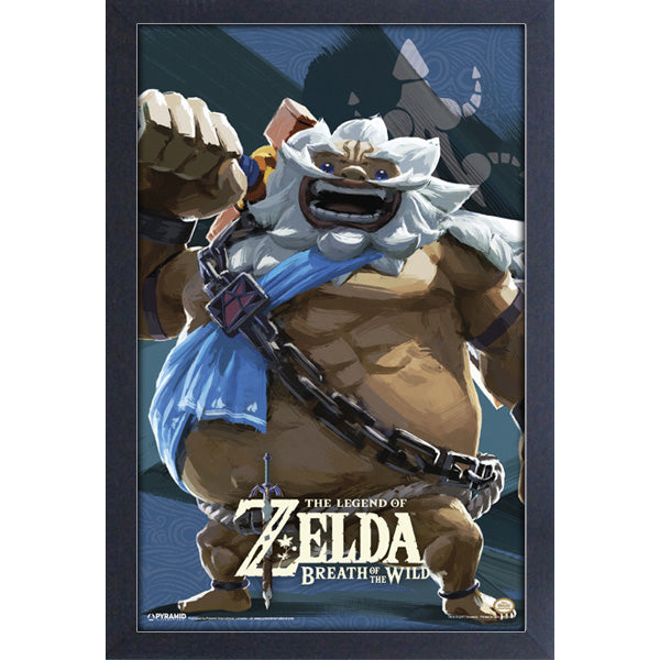 LOZ Breath of the Wild Champion Daruk Framed